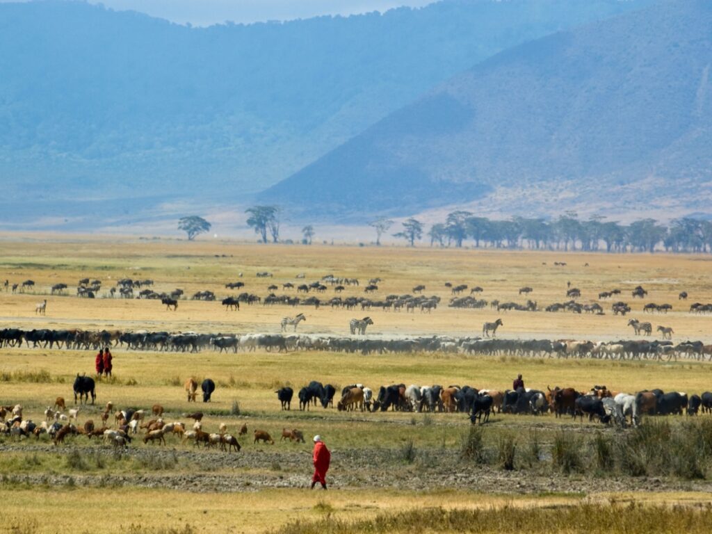 Discover Ngorongoro Crater in Tanzania | One Nature Hotels