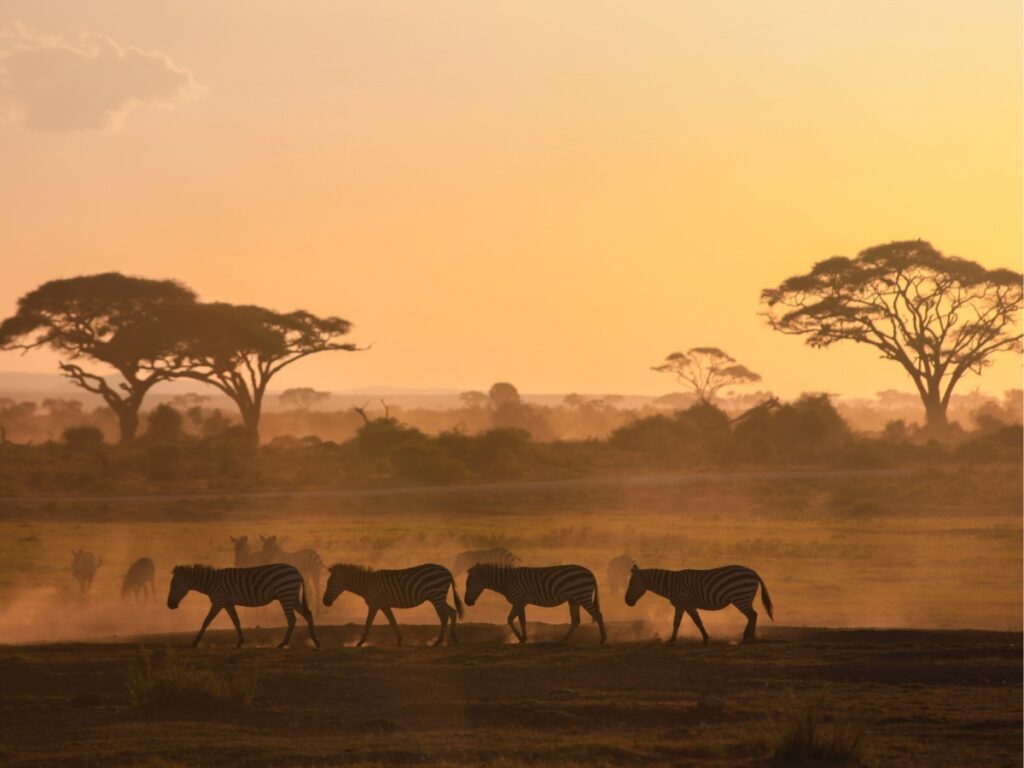 A Guide to the Swahili Language | One Nature Hotels