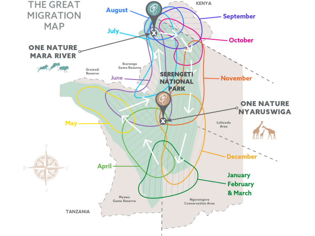 Best Places to Stay and See the Great Migration | One Nature Hotels